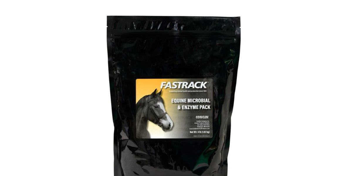 Fastrack® Equine Microbial & Enzyme Pack — American Values Products