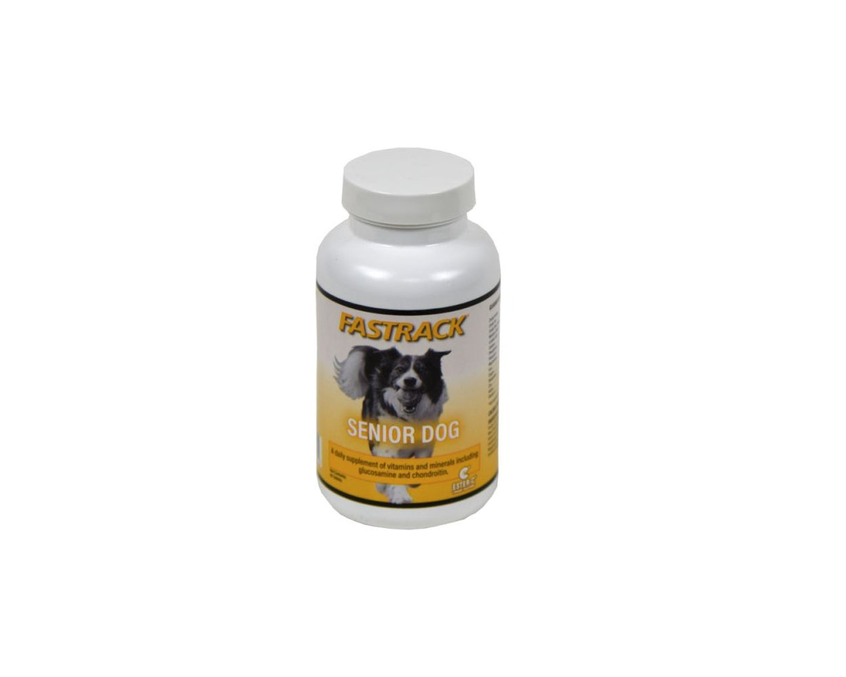 Fastrack® Senior Dog Supplement (60 Tablets) — American Values Products